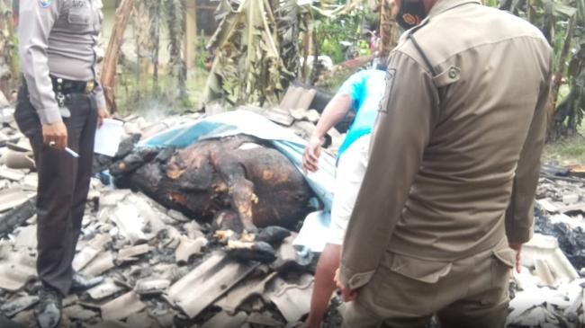 Kandang Kobong, Sapi Jadi Sapi Bakar Guling